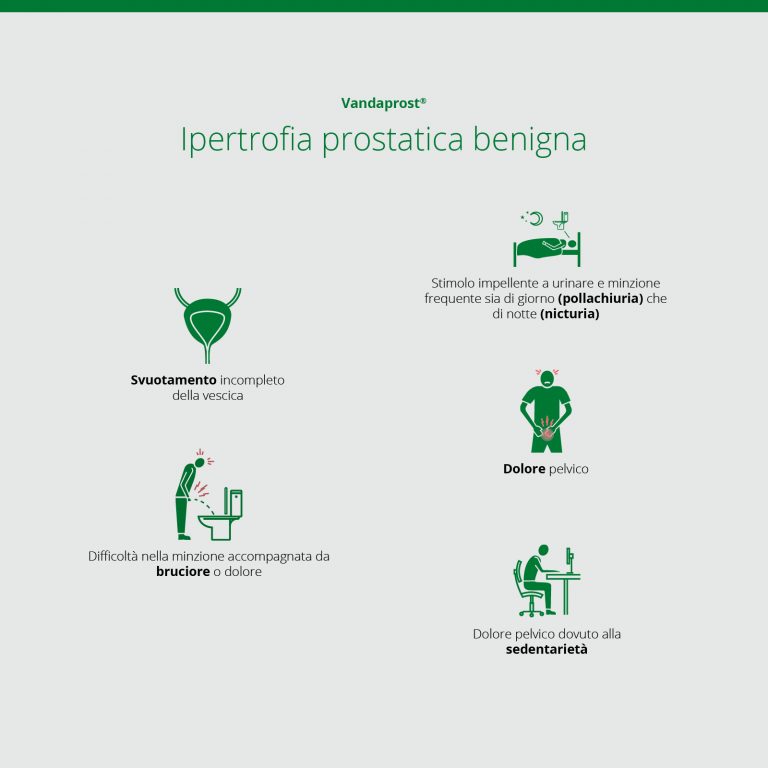 Ipertrofia prostatica benigna: cos'è, cause, sintomi e terapie IPB